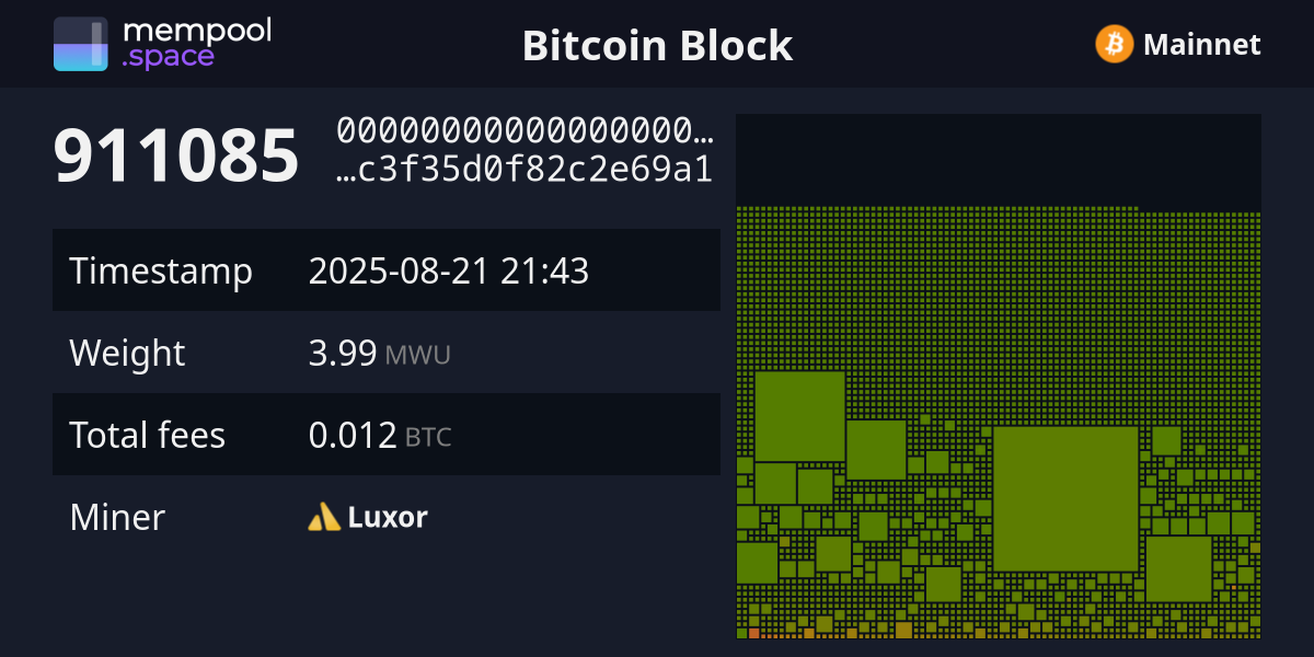Block 911085: 000000000000000000002049a0d9fa4a8e86997016cdfeac3f35d0f82c2e69a1 - mempool ...