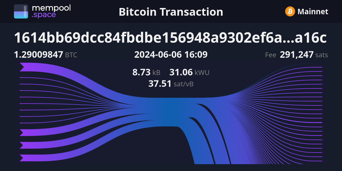 Transaction: 1614bb69dcc84fbdbe156948a9302ef6a0412e369eb3cf3b6931b5bbdfd0a16c - mempool ...