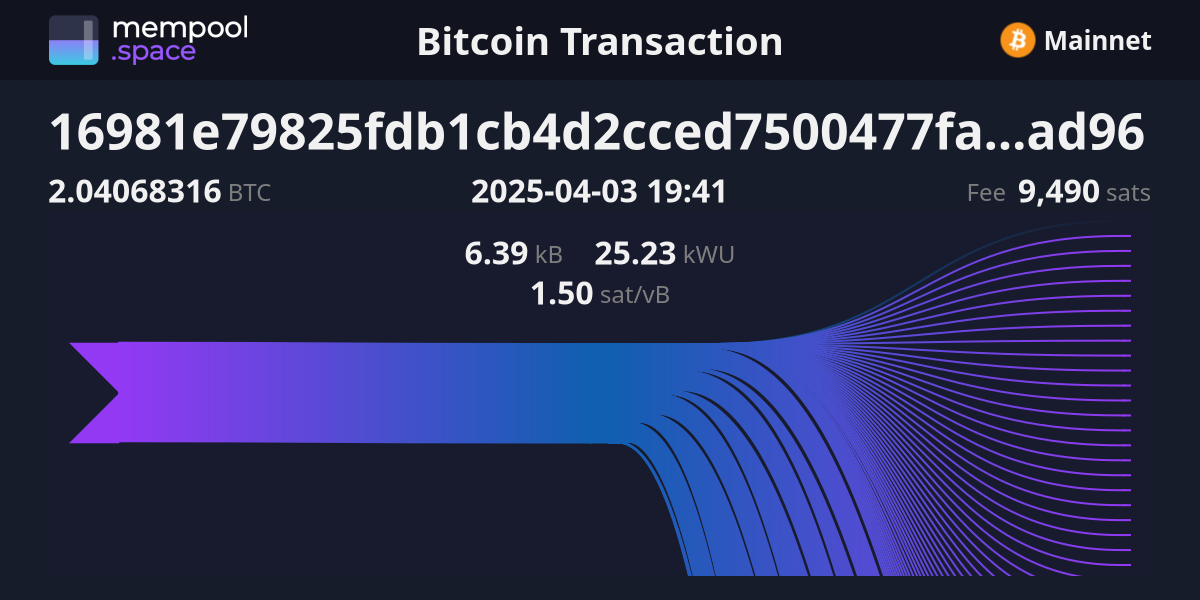 Transaction: 16981e79825fdb1cb4d2cced7500477fac2751892639d67fa9be3975d08ead96 - mempool ...