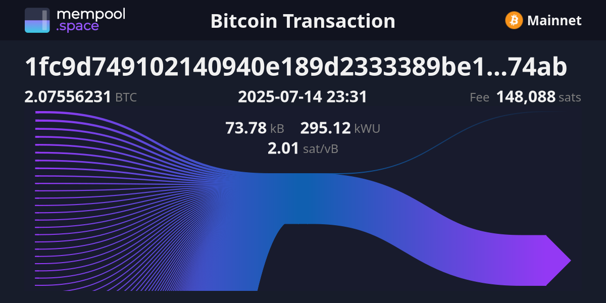 Transaction: 1fc9d749102140940e189d2333389be188d7bf7eb37bd5862b6be9b1144774ab - mempool ...