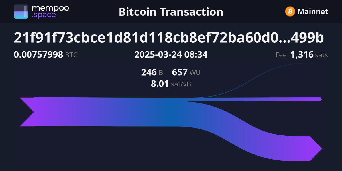 Transaction: 21f91f73cbce1d81d118cb8ef72ba60d0d5f27697b4ca9f7e8843e41ebf5499b - mempool ...