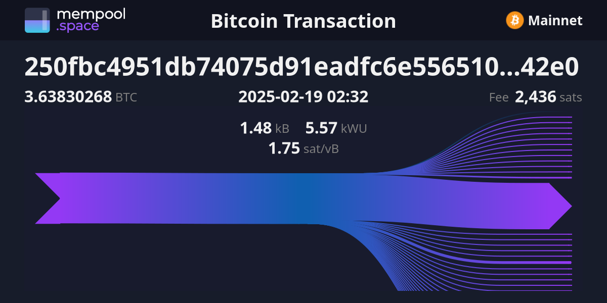 Transaction: 250fbc4951db74075d91eadfc6e5565100a9872780ccc54fcfd5a964db8642e0 - mempool ...