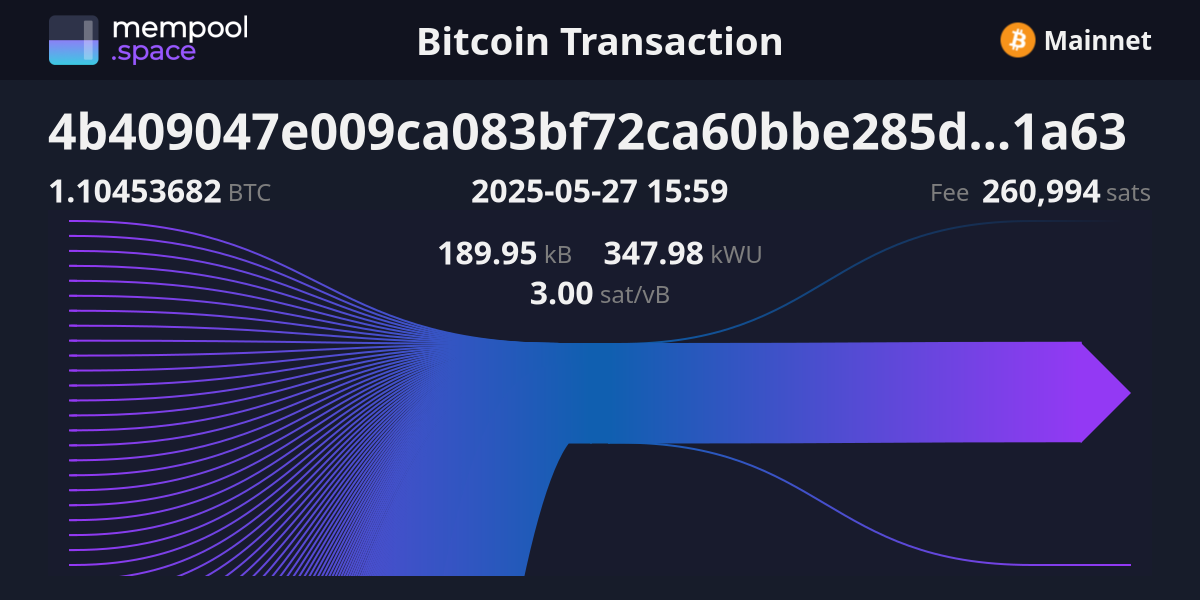 Transaction: 4b409047e009ca083bf72ca60bbe285d7a01f0e8d09c07ebcf52dddd64f81a63 - mempool ...