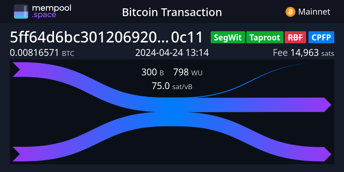Transaction: 5ff64d6bc301206920e49452696fed49bbabecc89e871b87d2f02309c8f00c11 - mempool ...