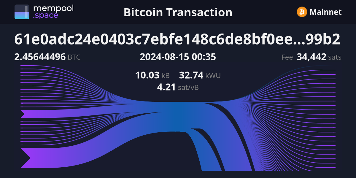 Transaction: 61e0adc24e0403c7ebfe148c6de8bf0ee03add2f61606163f4e19f23013b99b2 - mempool ...