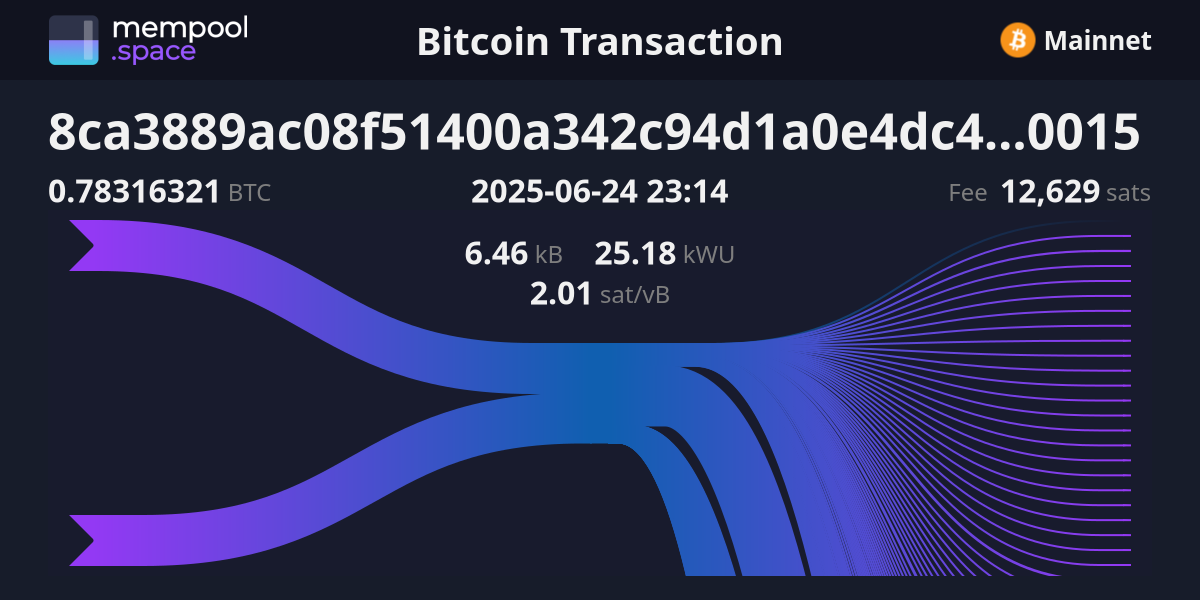 Transaction: 8ca3889ac08f51400a342c94d1a0e4dc426997cfdedd0d21ac61350522850015 - mempool ...