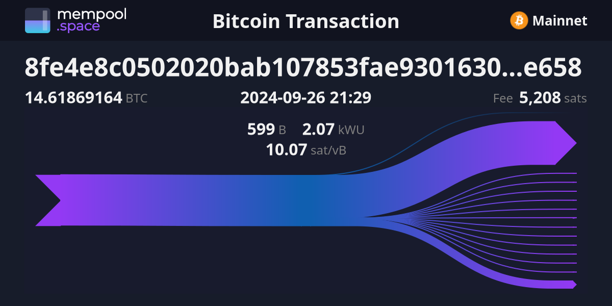 Transaction: 8fe4e8c0502020bab107853fae9301630943951e302a61766e2ffcb17873e658 - mempool ...