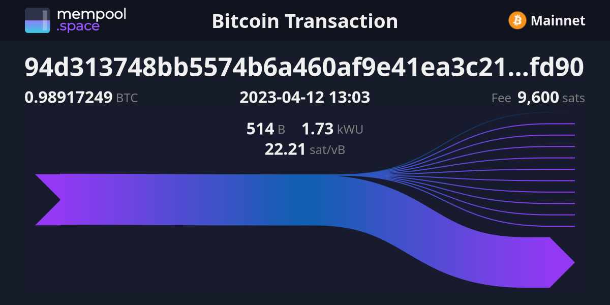 Transaction: 94d313748bb5574b6a460af9e41ea3c216fab1dcf8a4572c5f0b9b5a7e3efd90 - mempool ...