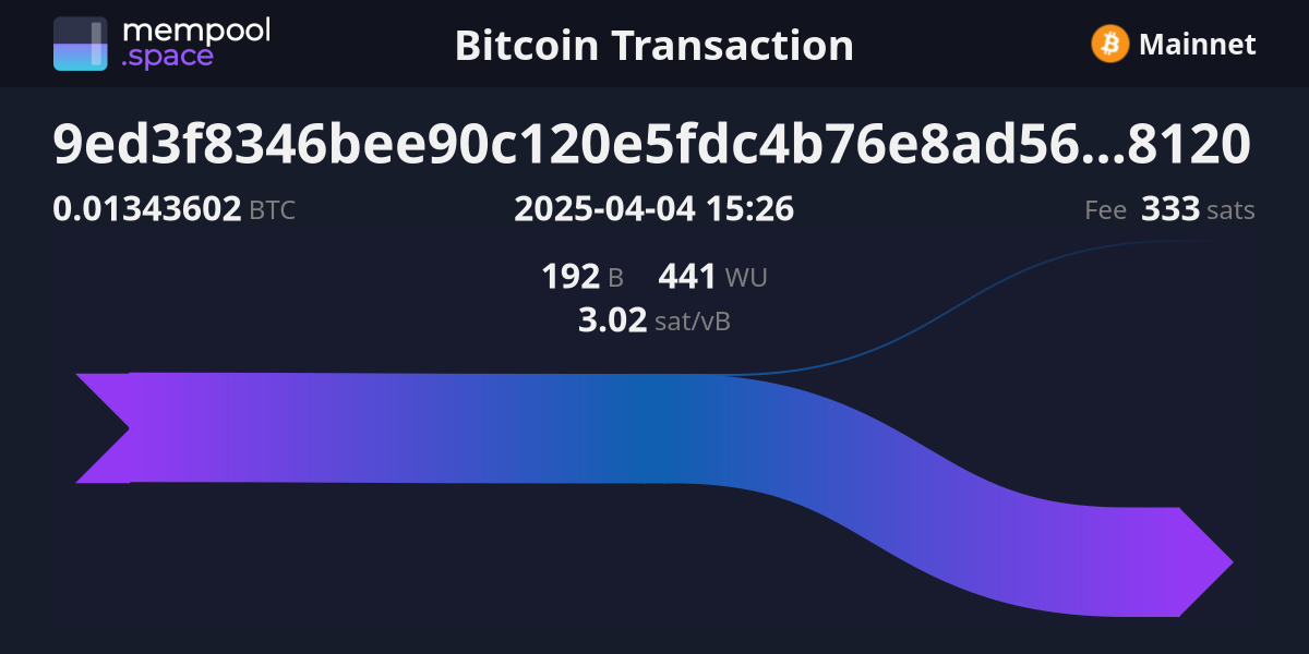 Transaction: 9ed3f8346bee90c120e5fdc4b76e8ad5650b694927b7dd8d9d09455e011f8120 - mempool ...
