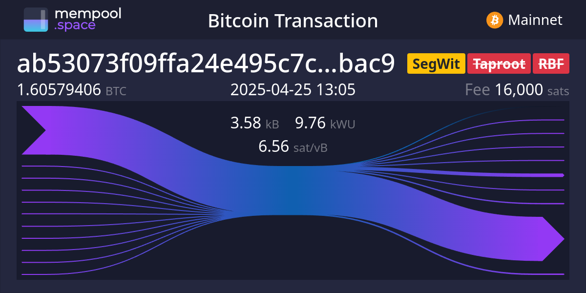 Transaction: ab53073f09ffa24e495c7c65305d888f19c3f2ddd196f2e5a487644c72a0bac9 - mempool ...