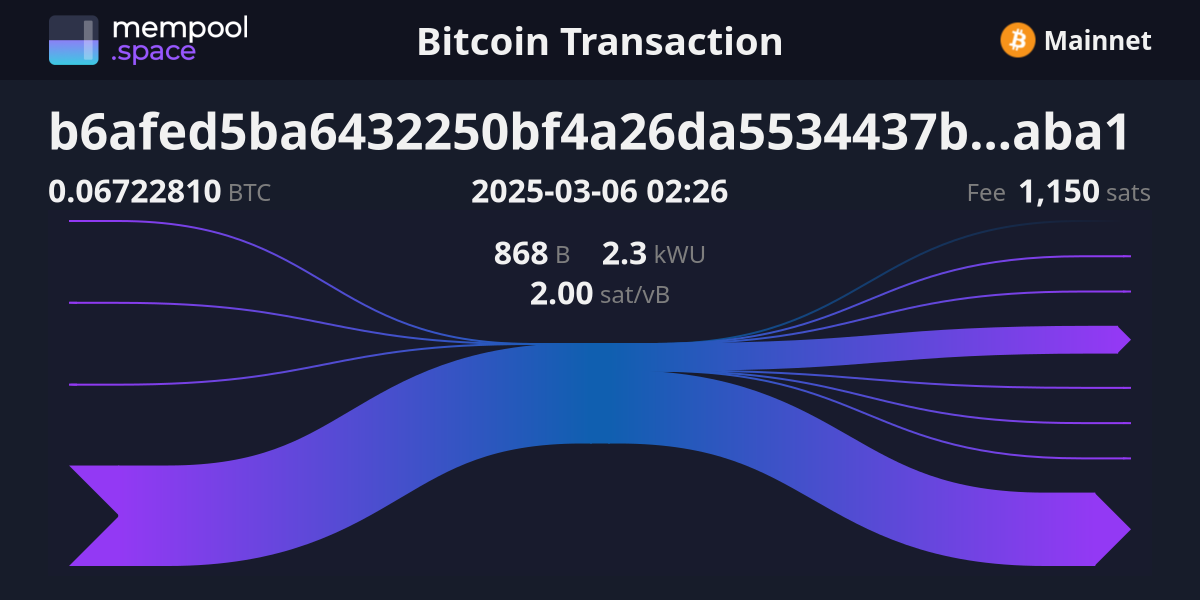 Transaction: b6afed5ba6432250bf4a26da5534437b6d685b0f4a8499aa0372c65eacadaba1 - mempool ...