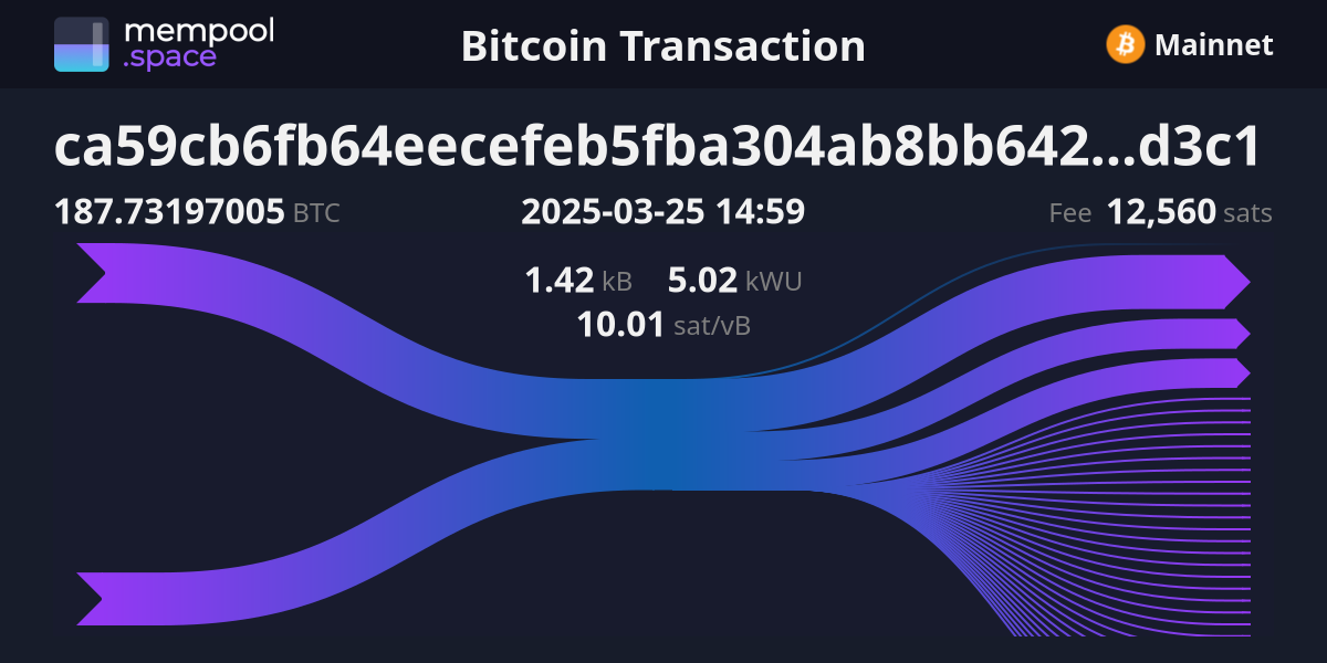 Transaction: ca59cb6fb64eecefeb5fba304ab8bb6421af023a4ef9e43e2db9d8386f49d3c1 - mempool ...