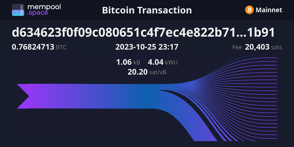 Transaction: d634623f0f09c080651c4f7ec4e822b71b4d26a4f826a79b61e0de0dfae71b91 - mempool ...
