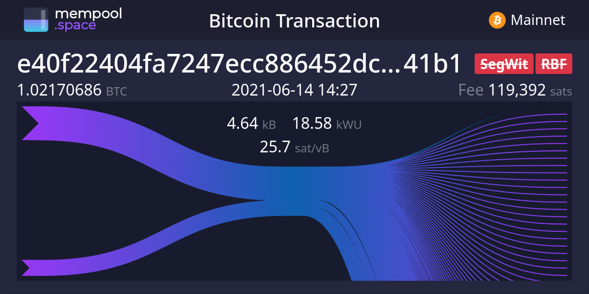 Transaction: e40f22404fa7247ecc886452dc841fefd65d83058f5324529104164049af41b1 - mempool ...