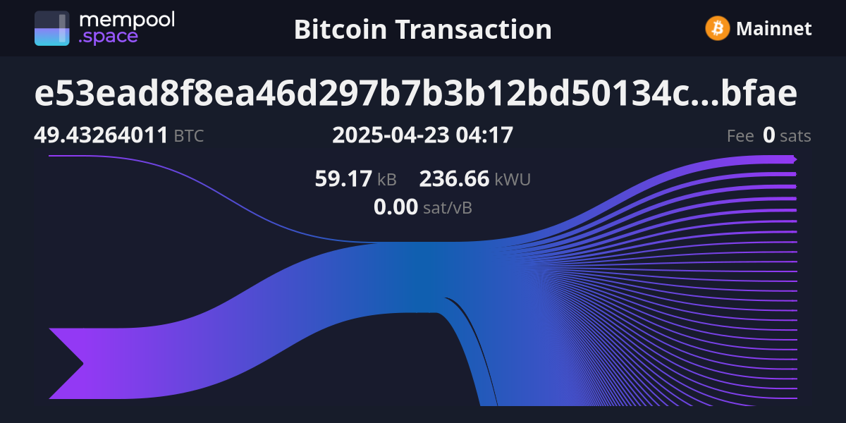 Transaction: e53ead8f8ea46d297b7b3b12bd50134c6c5665d70afac91c88744e6a320abfae - mempool ...